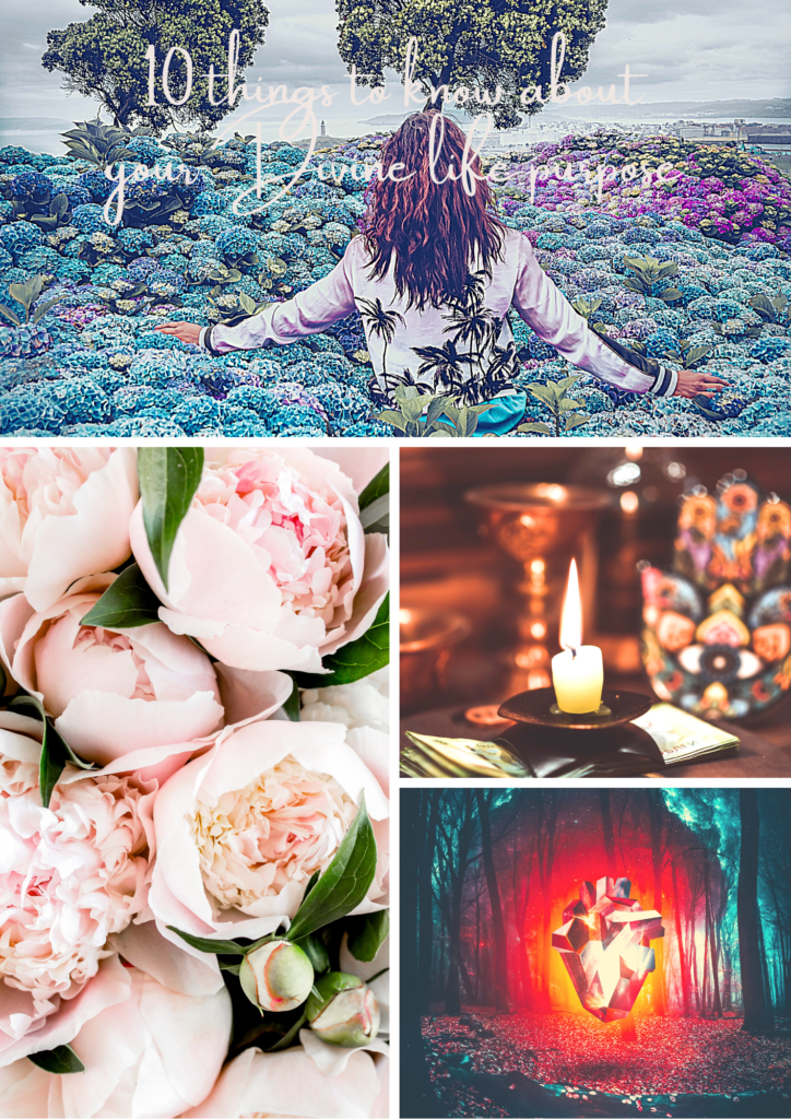 10 things to know about your Divine life purpose - Little Sparks of ...